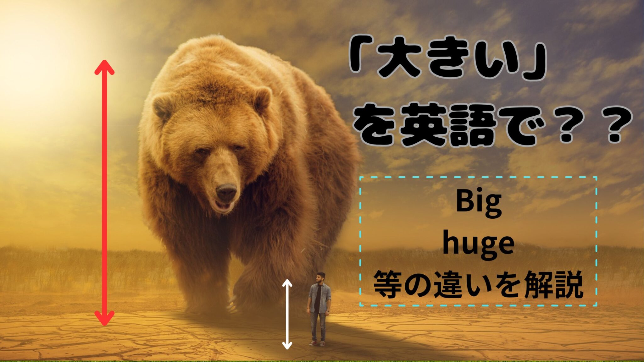 「大きい」を英語で？"big"や"large"などの違いを解説♪ | はちくんの英語教室